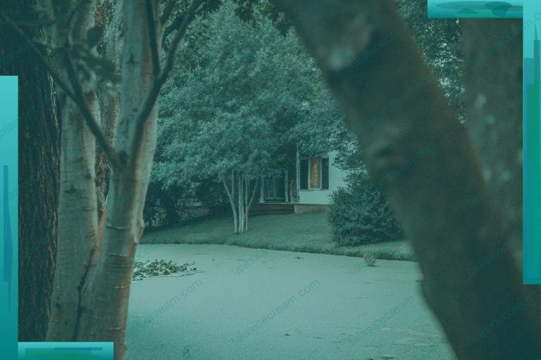 Louisiana Tree Laws: A Guide to the Statutes - Judicial Insights